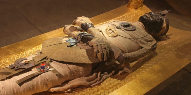 Ancient Egypt: Mummies and Treasures 3,500 Years Old Uncovered in Tomb ...